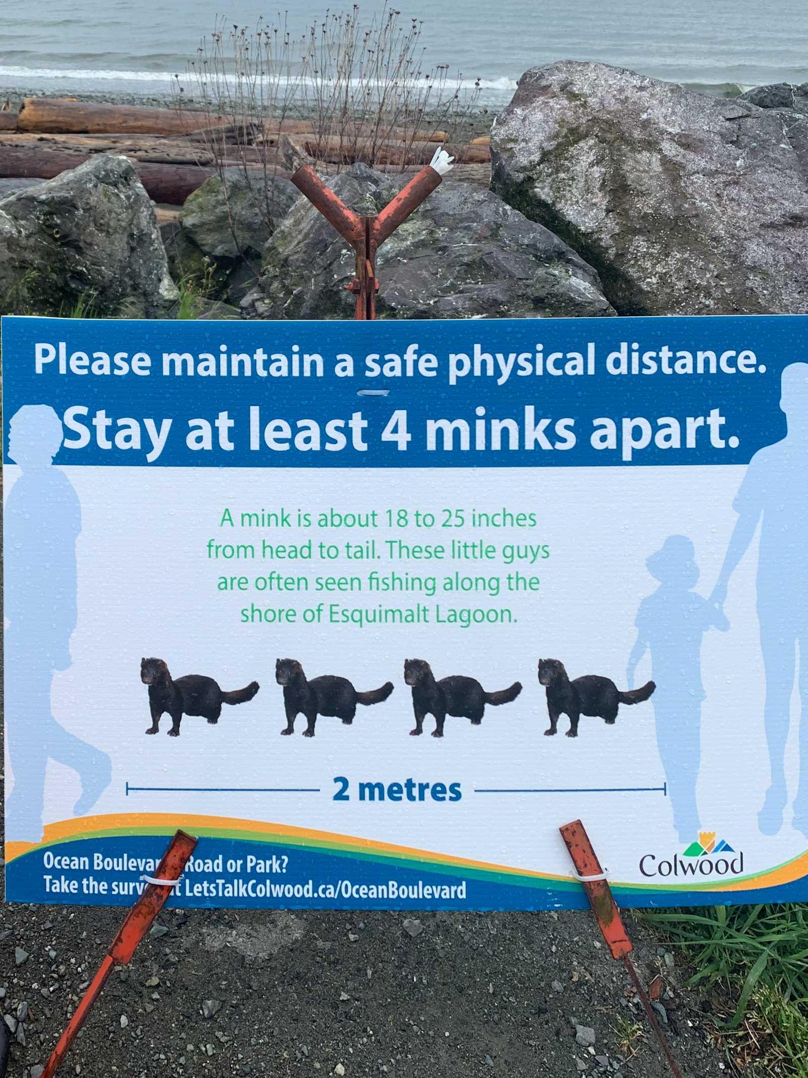 Colwood Waterfront | Due to COVID-19: Documenting the signs of the pandemic